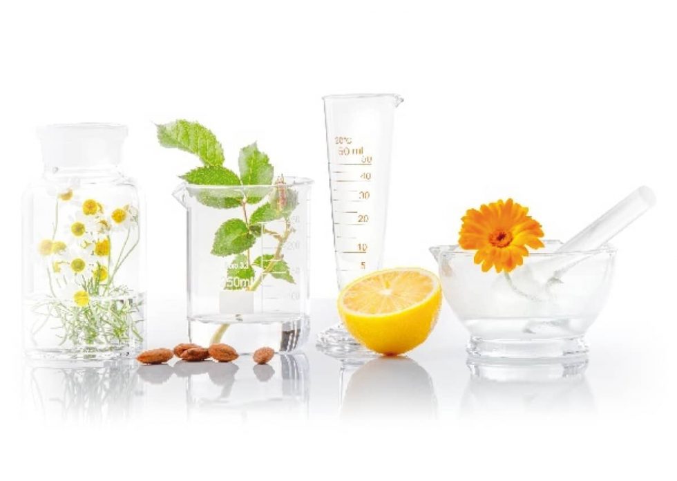 Inicio - McBerry | Sitio Oficial